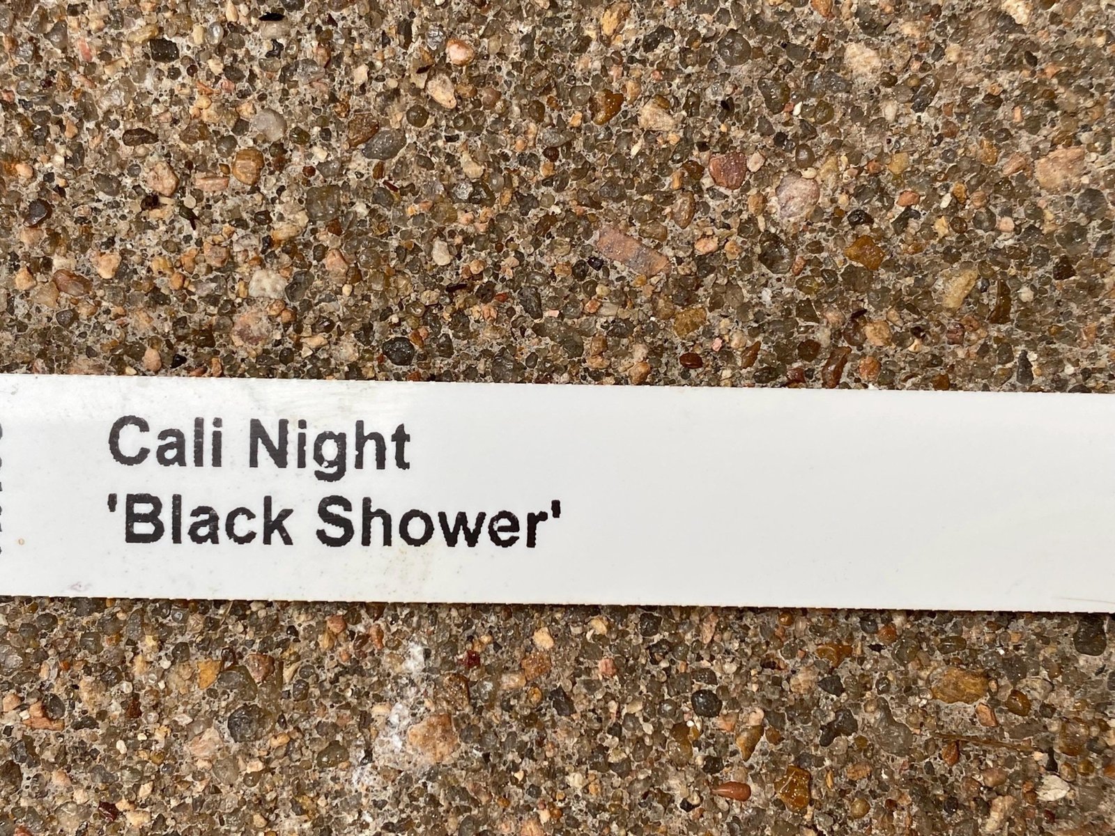 Cymbidium Cali Night ‘Black Shower’ (5″ pot) - Everything Orchids