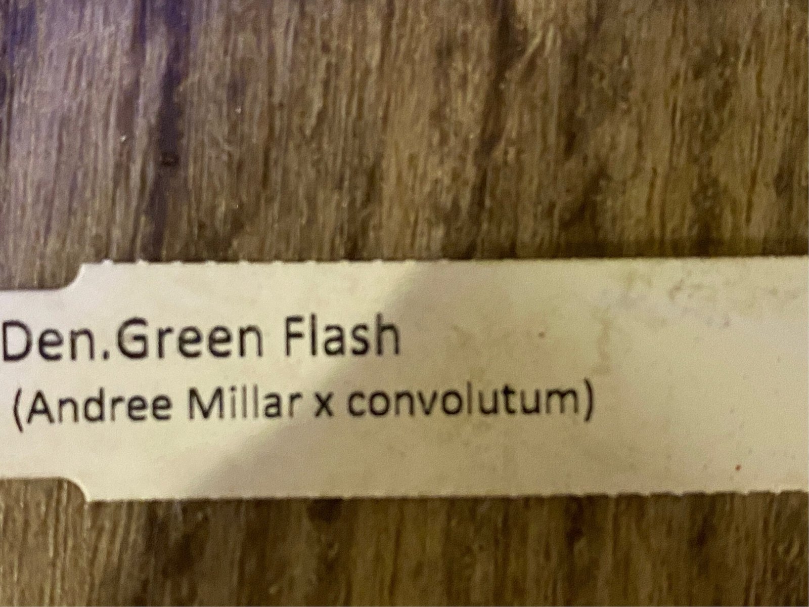 Dendrobium Green Flash (Andree Millar x convolutum) (3.5” pot ...